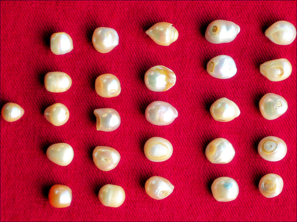 Basra Pearls for Offshore Investment - Invest Offshore